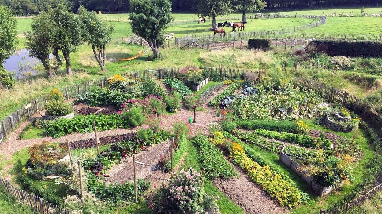 Soigner son potager grâce à la permaculture