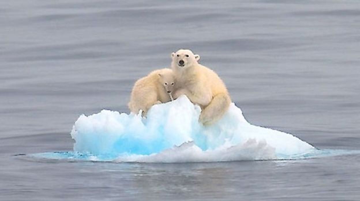 5 degrés plutôt que 3: le réchauffement climatique estimé encore plus ... 5 degrés plutôt que 3: le réchauffement climatique estimé encore plus ...