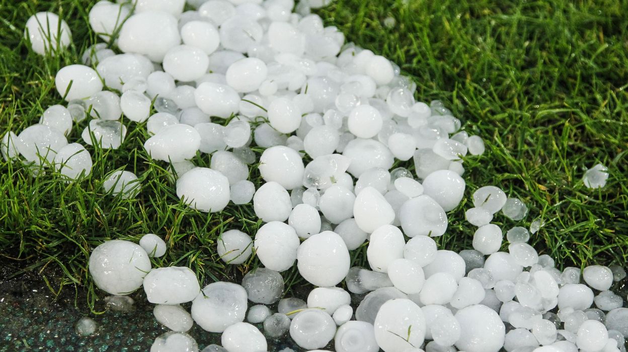 Voitures endommagées par la grêle: atteindre le niveau H5, et être ...