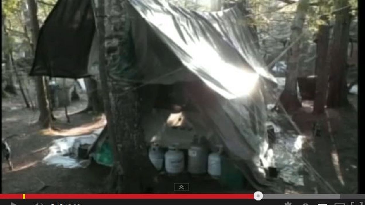 Un ermite arrêté après 27 ans de vie isolée dans les bois