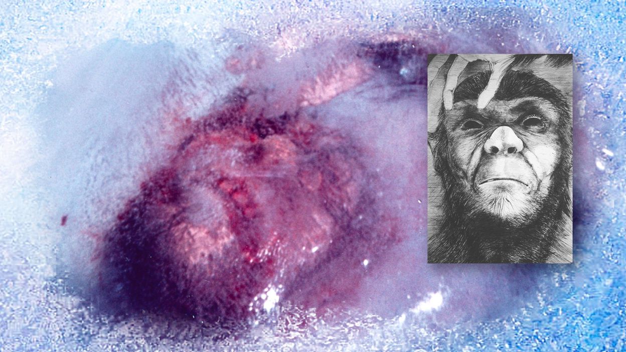 Iceman ou l'homme congelé du Minnesota : une énigme pour la science