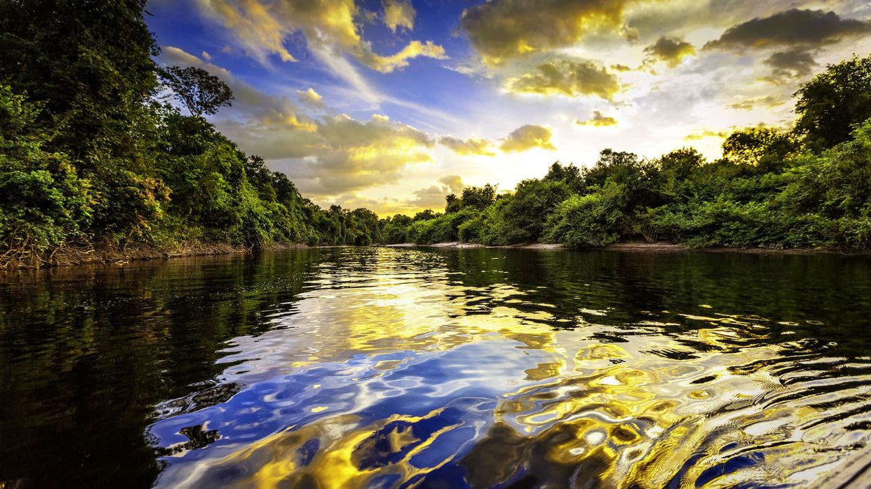 Le parc national de Manú: plongée au cœur de l'Amazonie