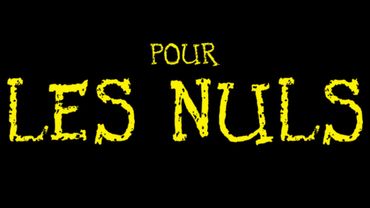 Phénomène d'édition, la collection "Pour les nuls" a 15 ans