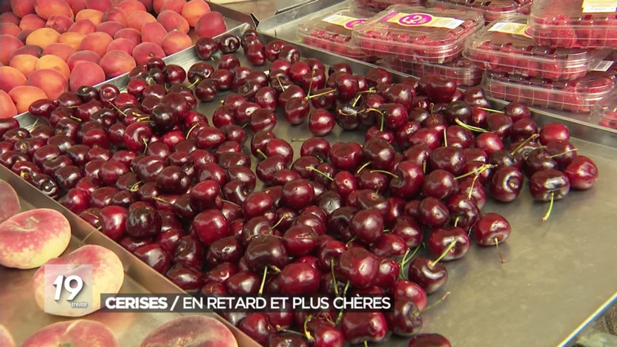 Les cerises sont en retard et leurs prix risquent de laisser un goût ...