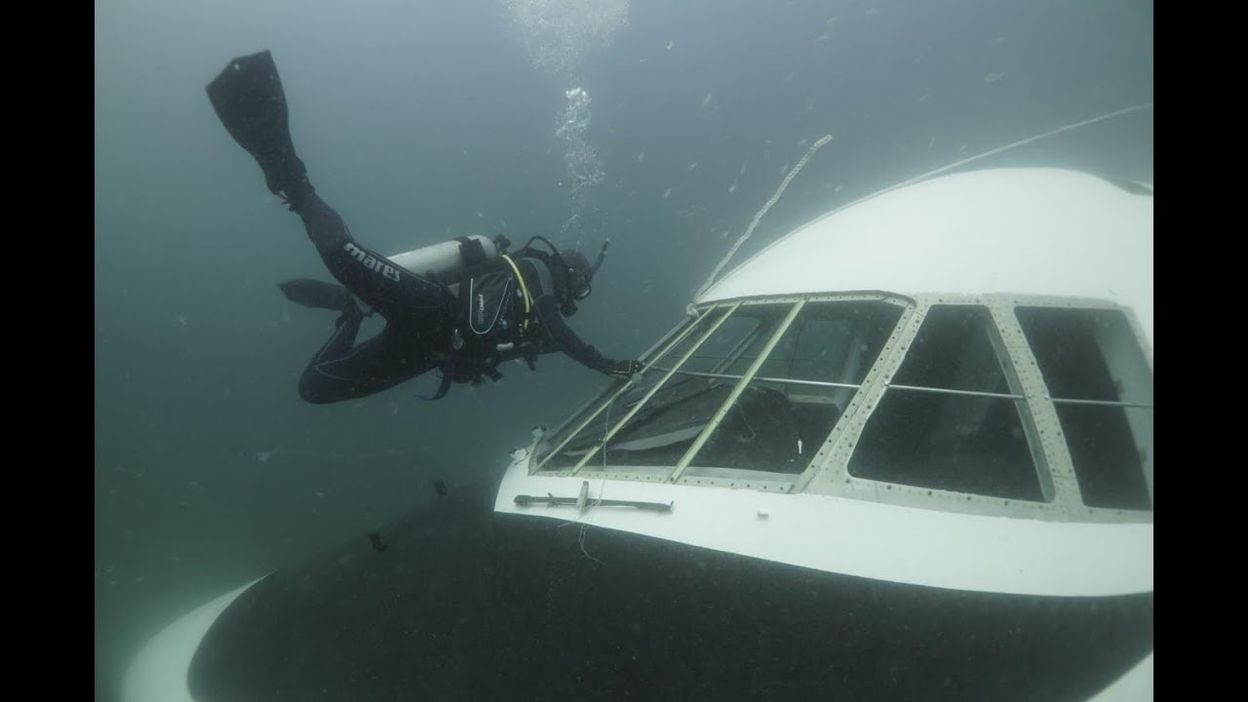 Dive Bahrain, le plus grand parc sous-marin au monde, est ...