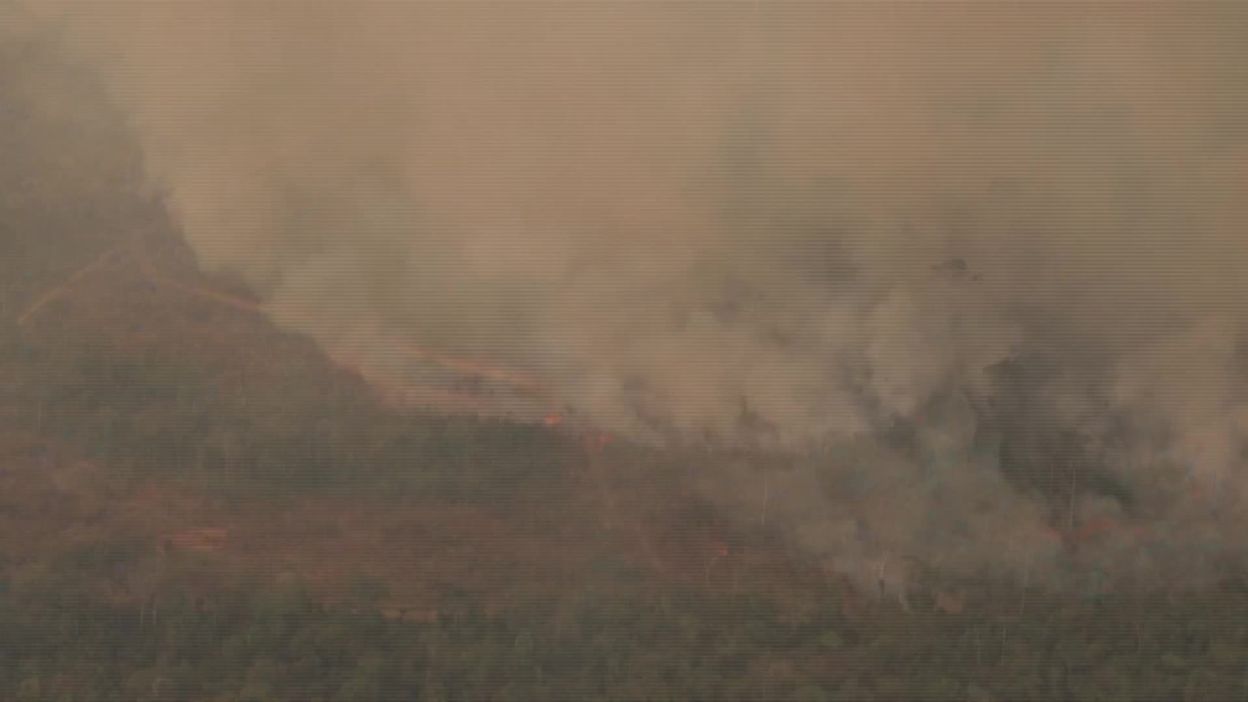 Brésil : le nombre d’incendies en Amazonie atteint un record - RTBF Actus