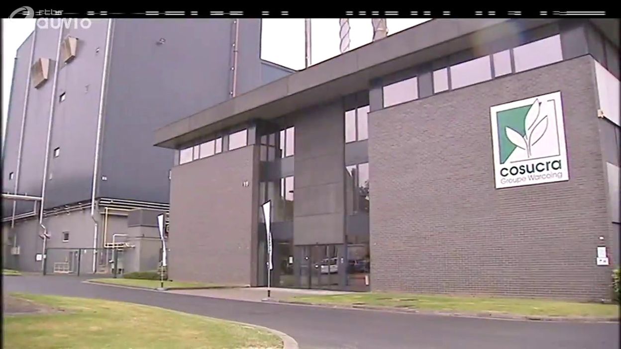 L'entreprise Cosucra ouvre une deuxième usine à pois au Danemark - RTBF ...