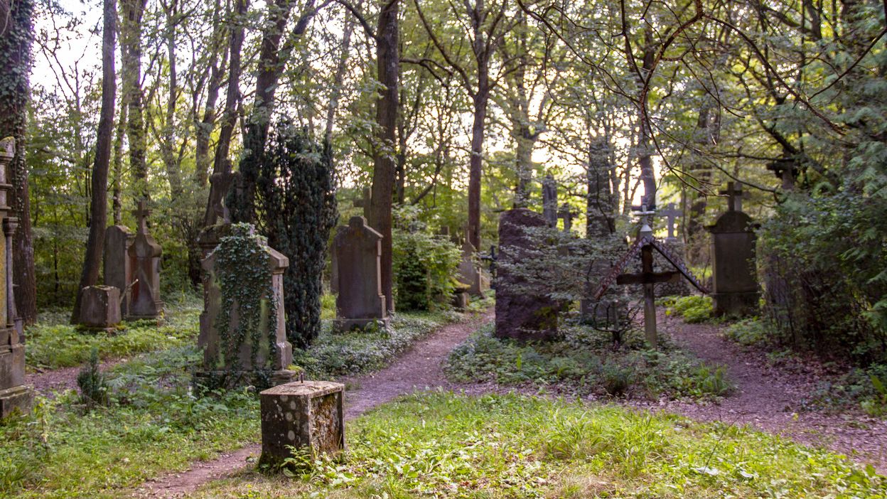 'Derniers domiciles connus', Thierry Luthers vous emmène dans les ...