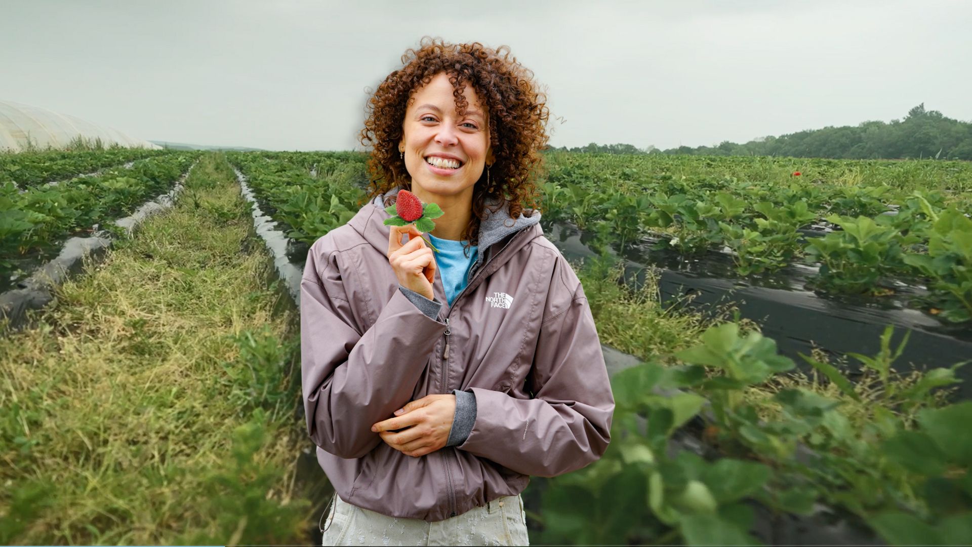 Jessica Riga découvre les secrets de la "vraie" fraise de Wépion - Mon ...