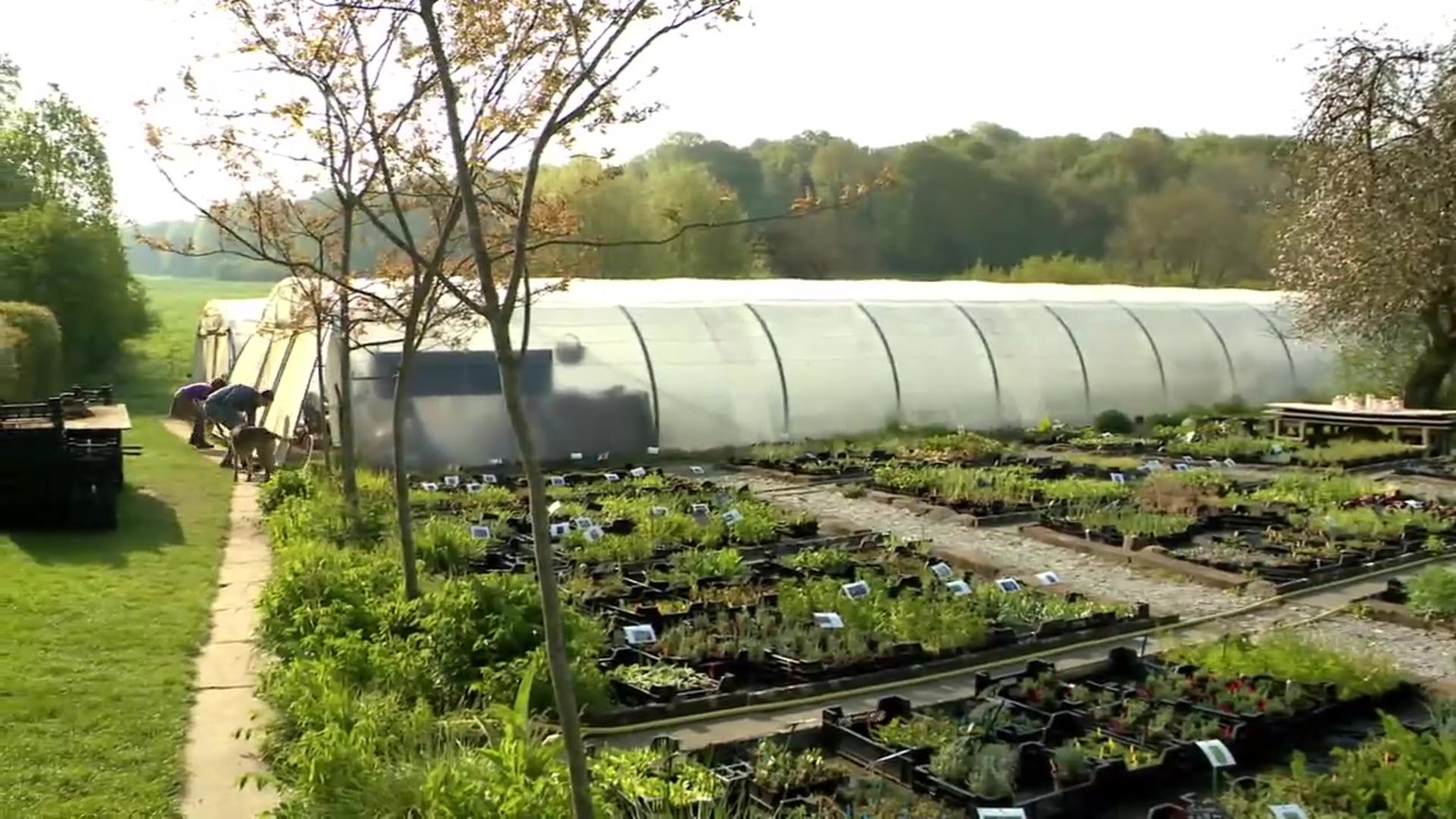 L'Ortie-Culture, une pépinière comestible - Extrait de Jardins & Loisirs du 08/05/2022 - Auvio