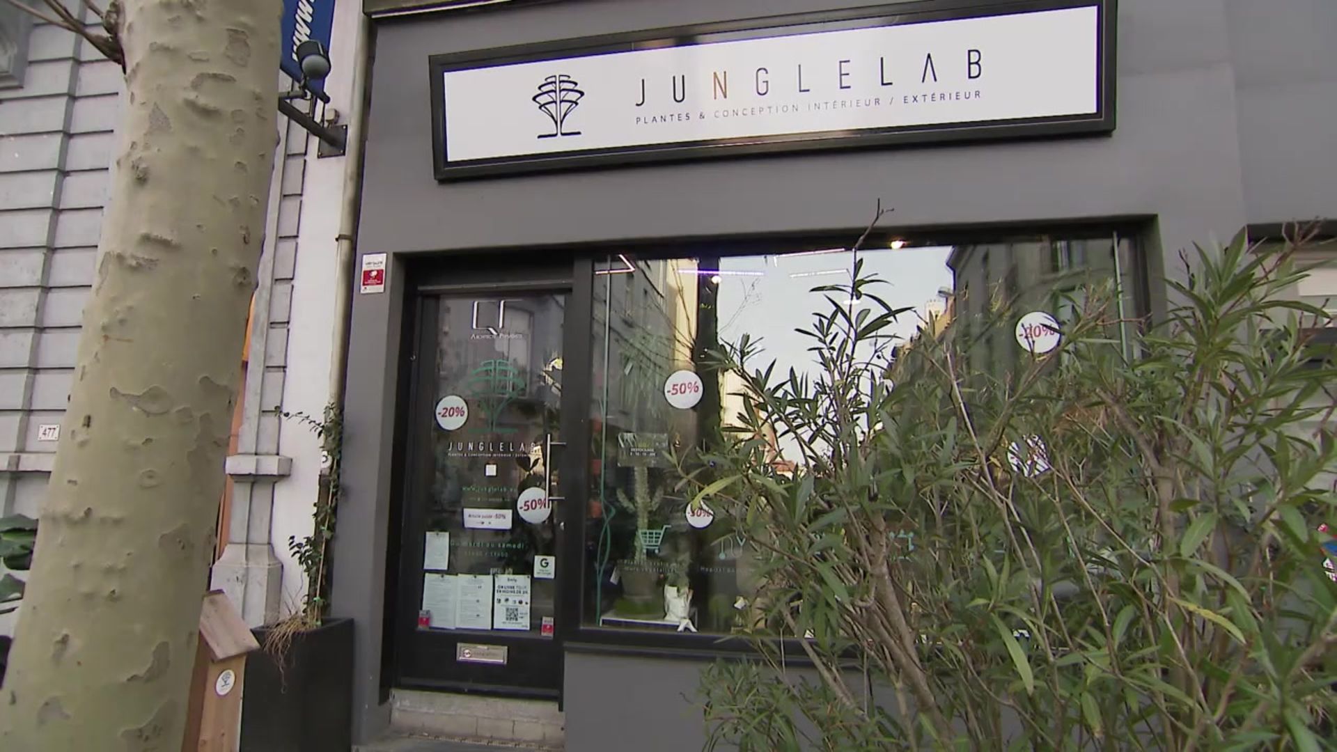 JungleLab, une boutique de plantes pas comme les autres - Extrait de ...