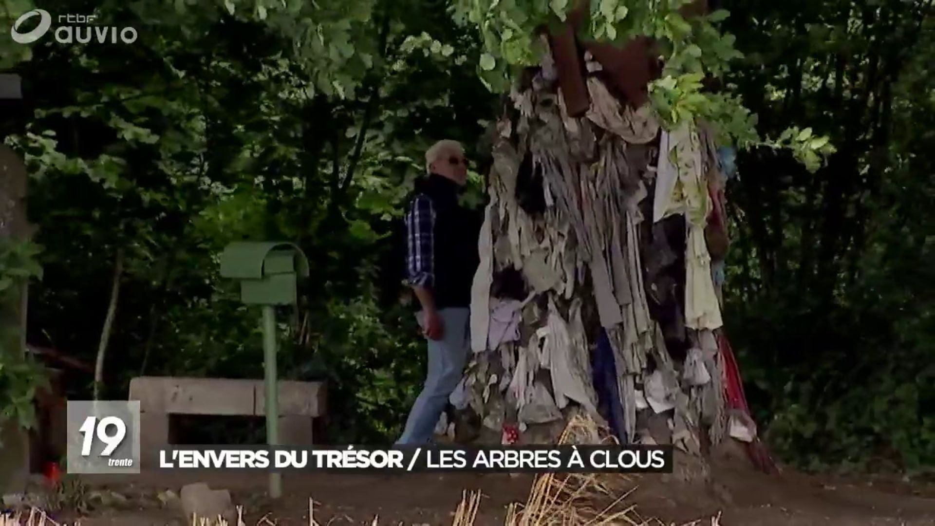 Arbres couverts de haillons en Wallonie: qu'est-ce que cela signifie ...