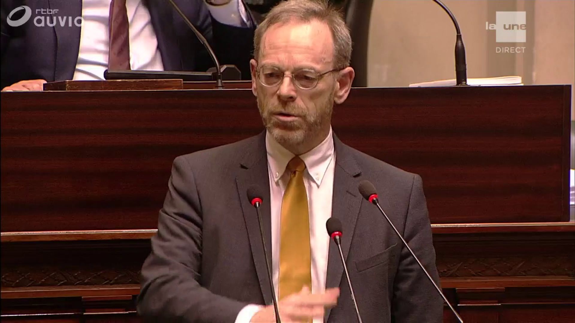 Peter de Roover - - Auvio