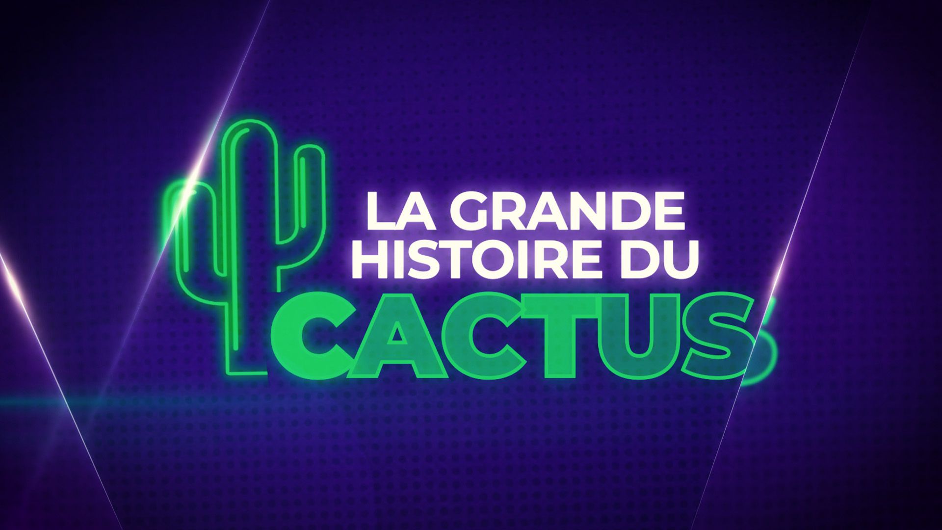 La grande histoire du Cactus - Les secrets de tournage pour la 10e ...