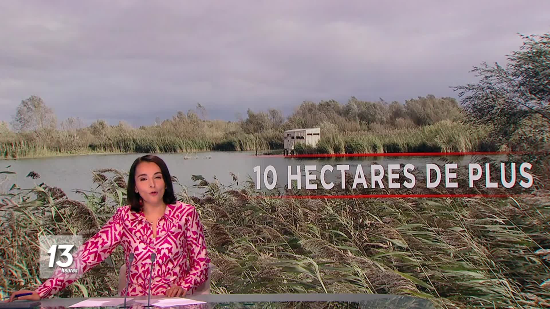 Hollogne-sur-Geer : la réserve naturelle gagne du terrain - - Auvio