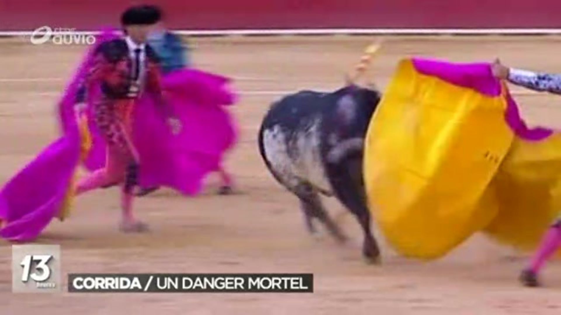 Décès d'un matador lors d'une corrida en Espagne, le premier de ce ...