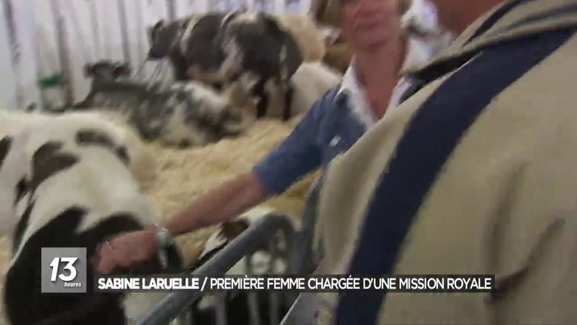 Sabine Laruelle: première femme chargée d une mission royale - - Auvio