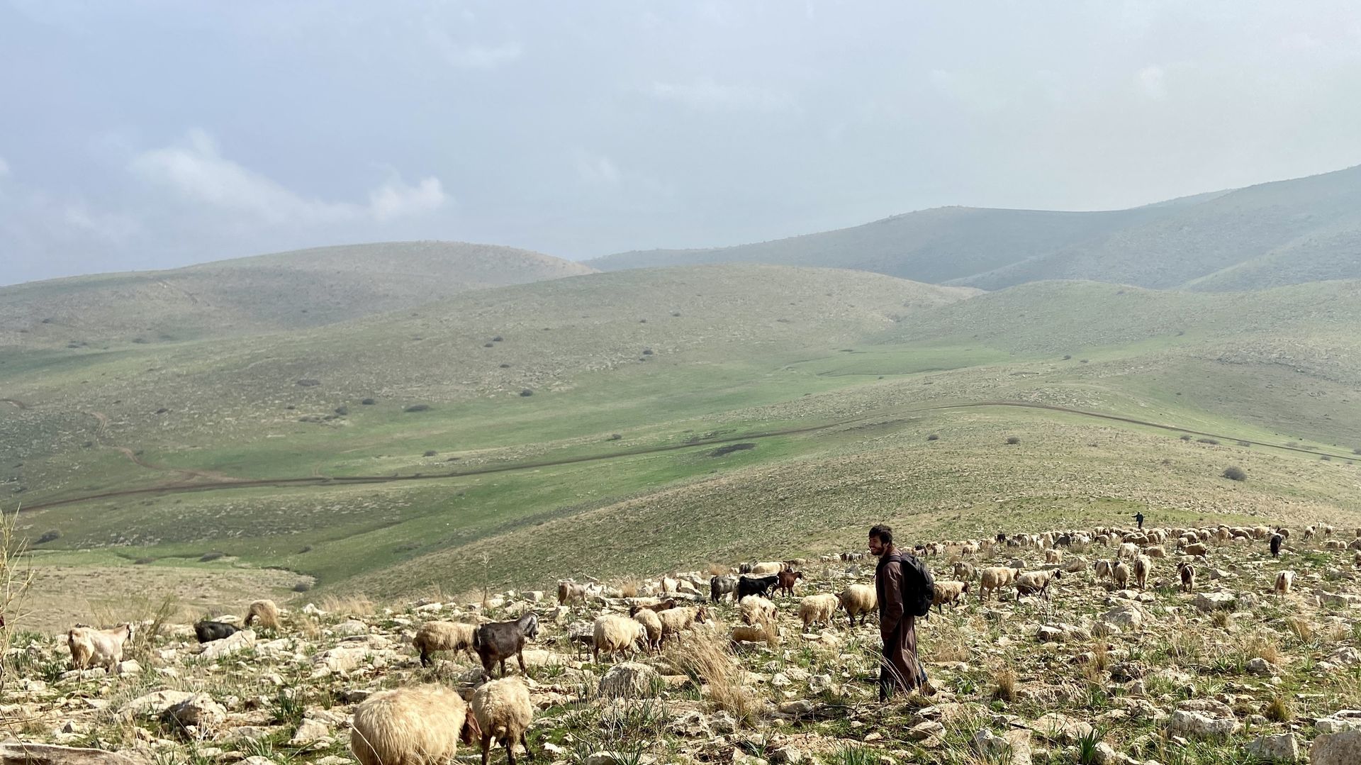 Des Israëliens viennent en aide aux bergers palestiniens - - Auvio