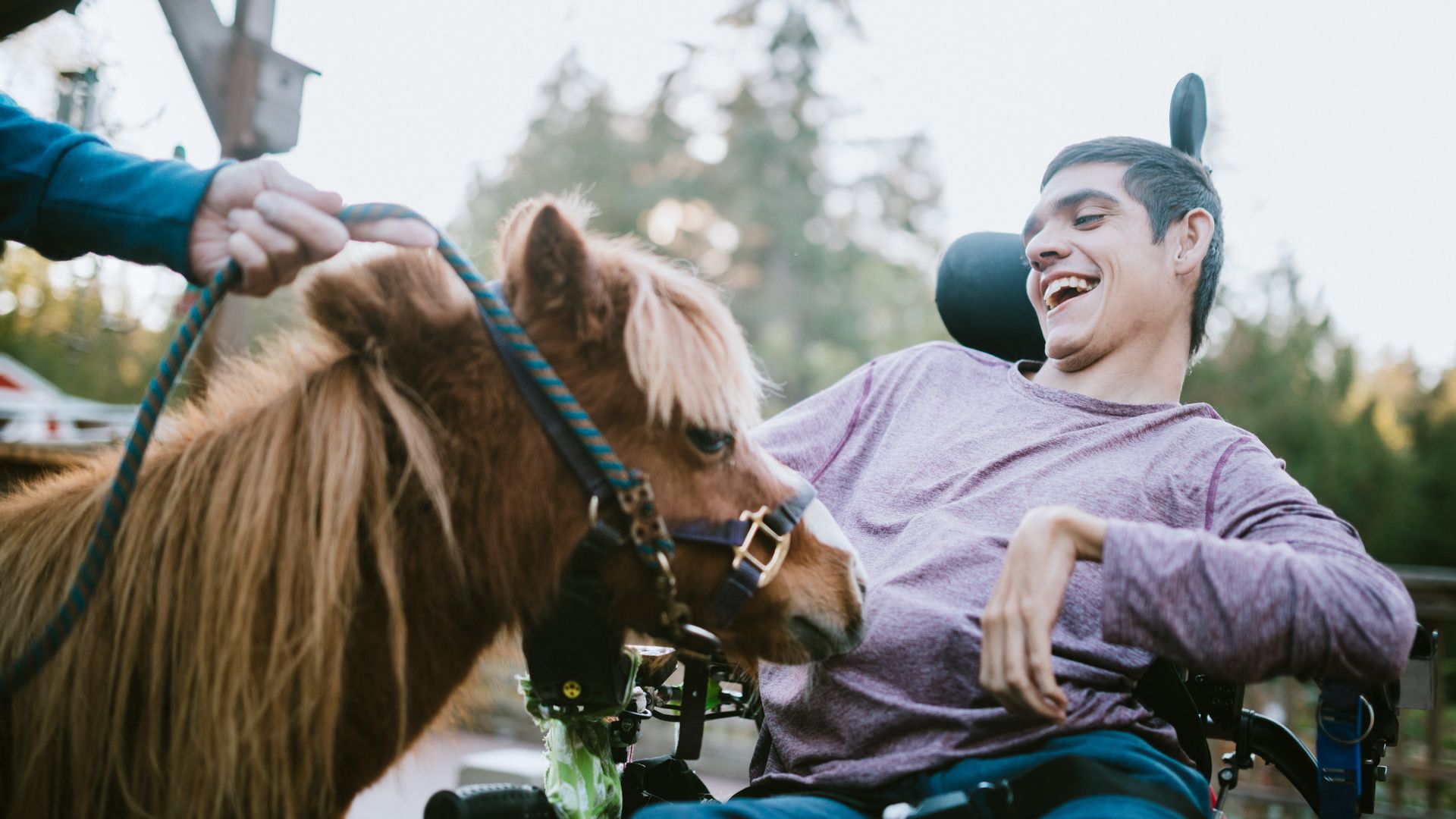 L'hippothérapie : quand le cheval vous aide à aller mieux - RTBF Actus