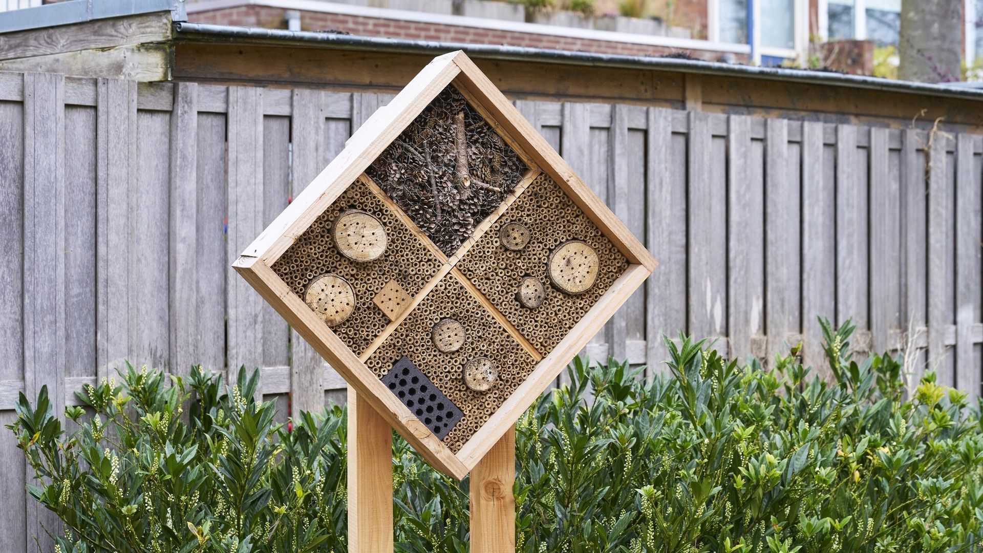 Les hôtels à insectes : une fausse bonne idée ? - Les hôtels à insectes ...