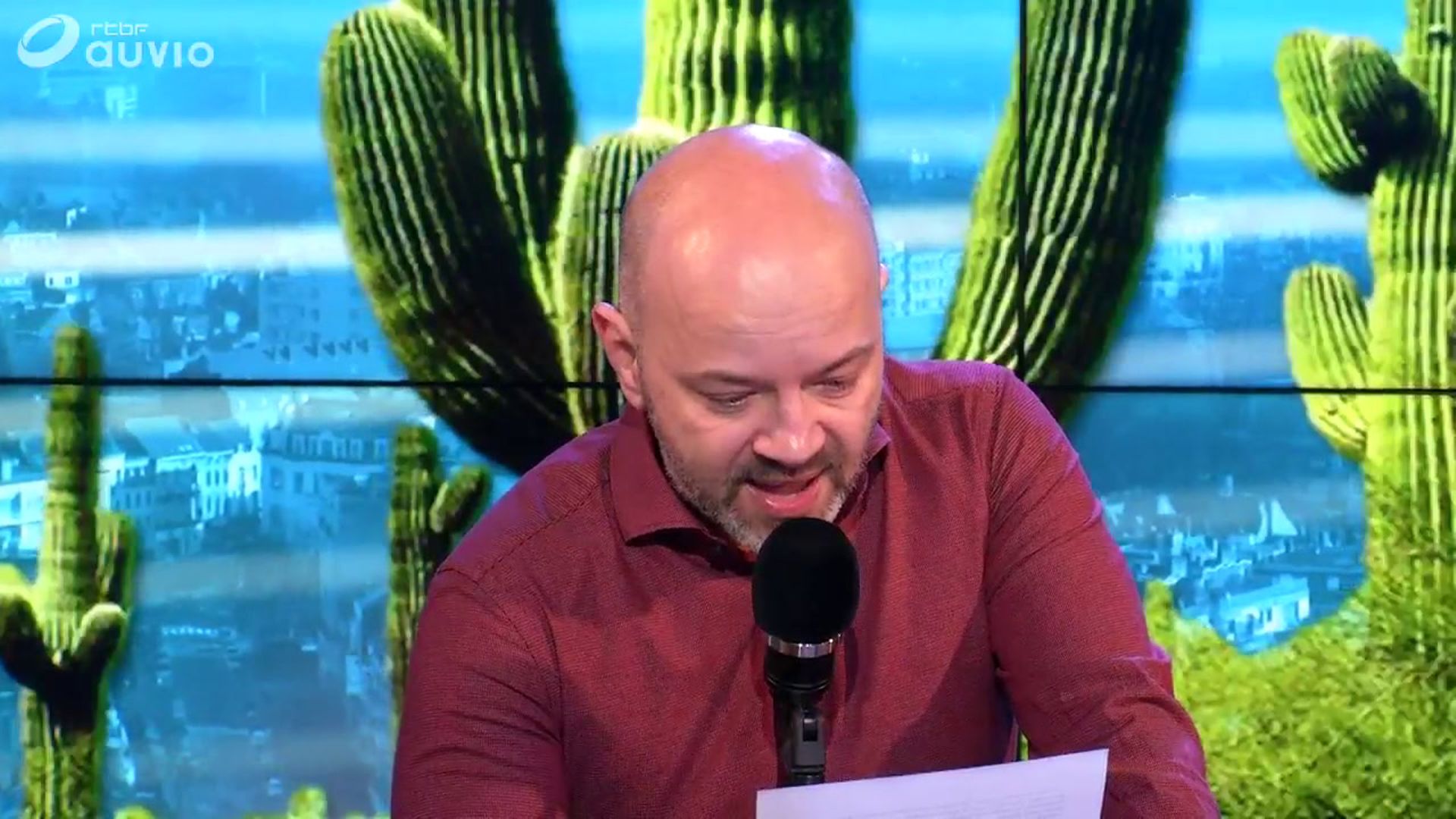 Le cactus de Jérôme De Warzée - Les Vœux du Roi 2018 - Auvio