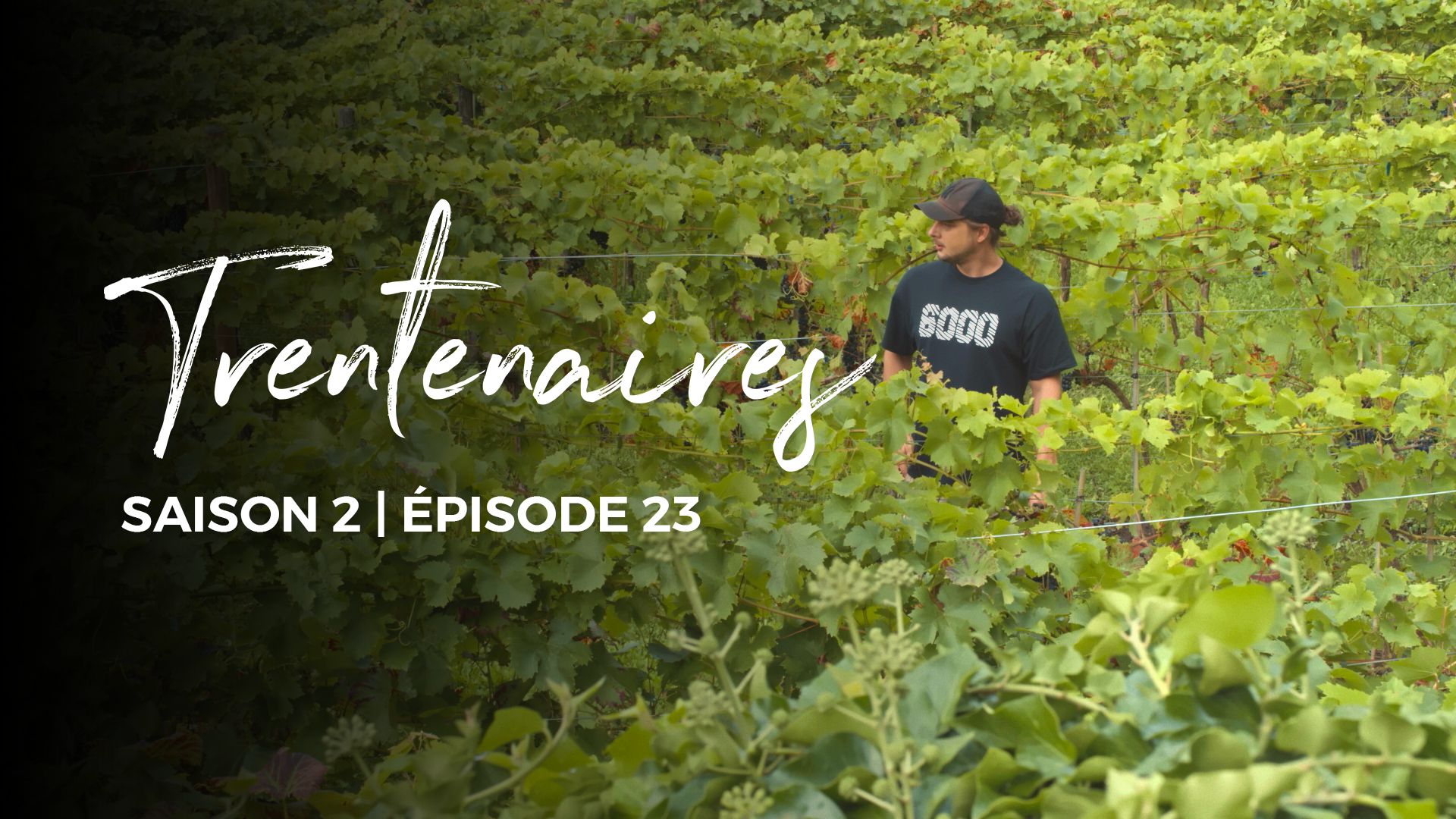 Trentenaires S02 - 23 - Condoléances - Auvio