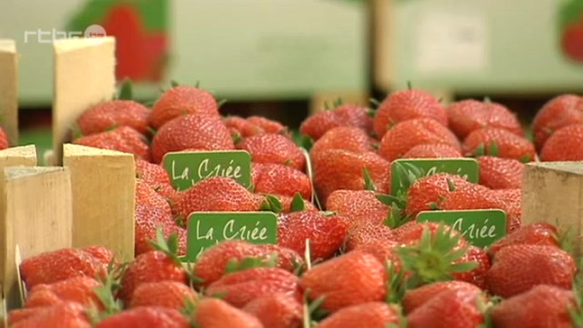 Fraises de Wépion, plus à la criée - - Auvio