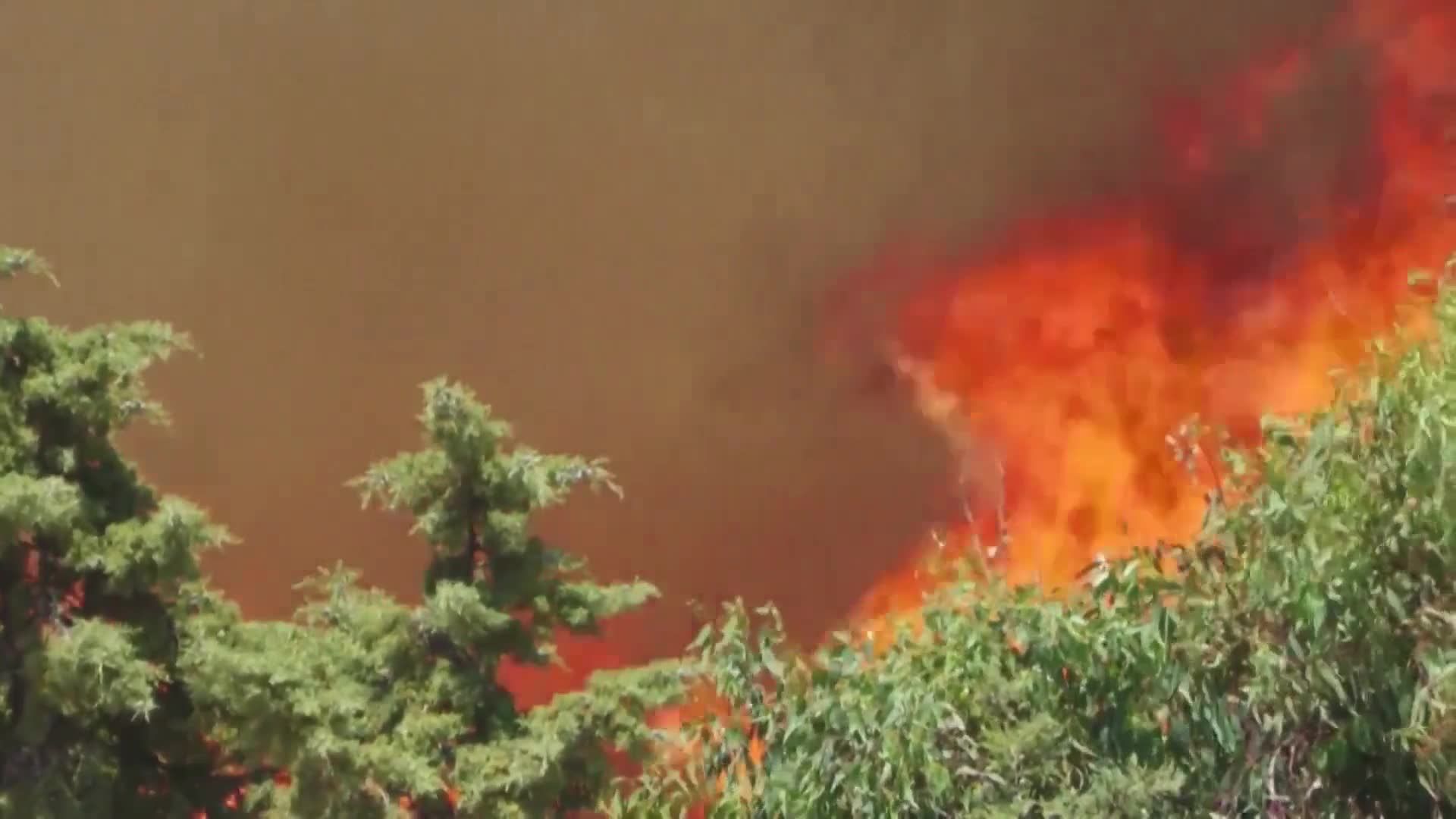 Incendie en Grèce : des touristes évacués de l'île de Kos (Reuters/AFP ...
