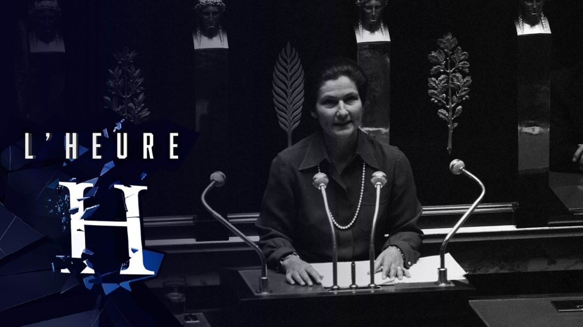 Quelles étaient les attaques et marques de soutien à Simone Veil après ...