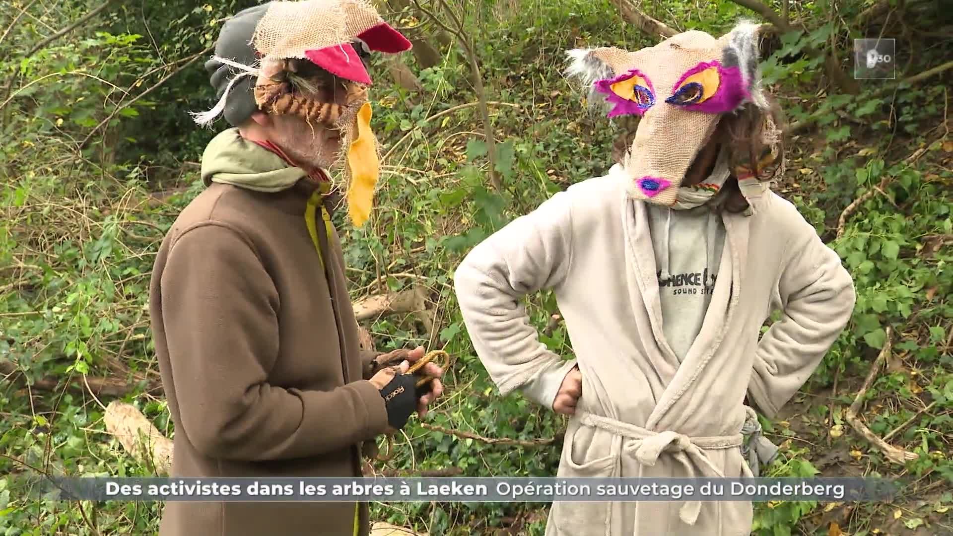 Des activistes dans les arbres à Laeken : opération sauvetage du ...